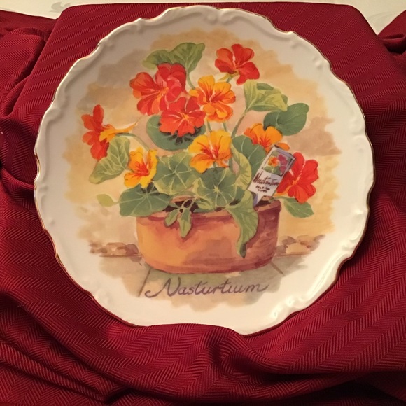 Vintage | Accents | Royal Vale Floral Decorative Plate | Poshmark